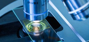 L'ulcère variqueux ou ulcère veineux